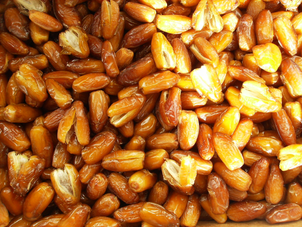 الاستقبال الاستقبال